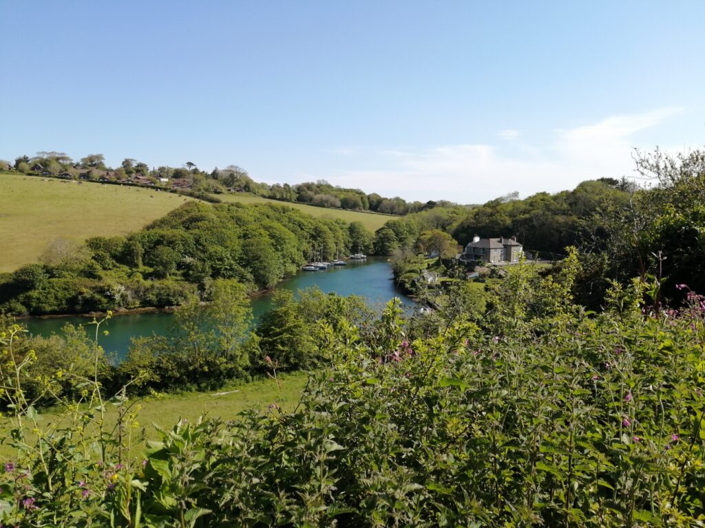 St Anthony’s Head Walk - It's Wonderful to Explore! - The Fido Trail