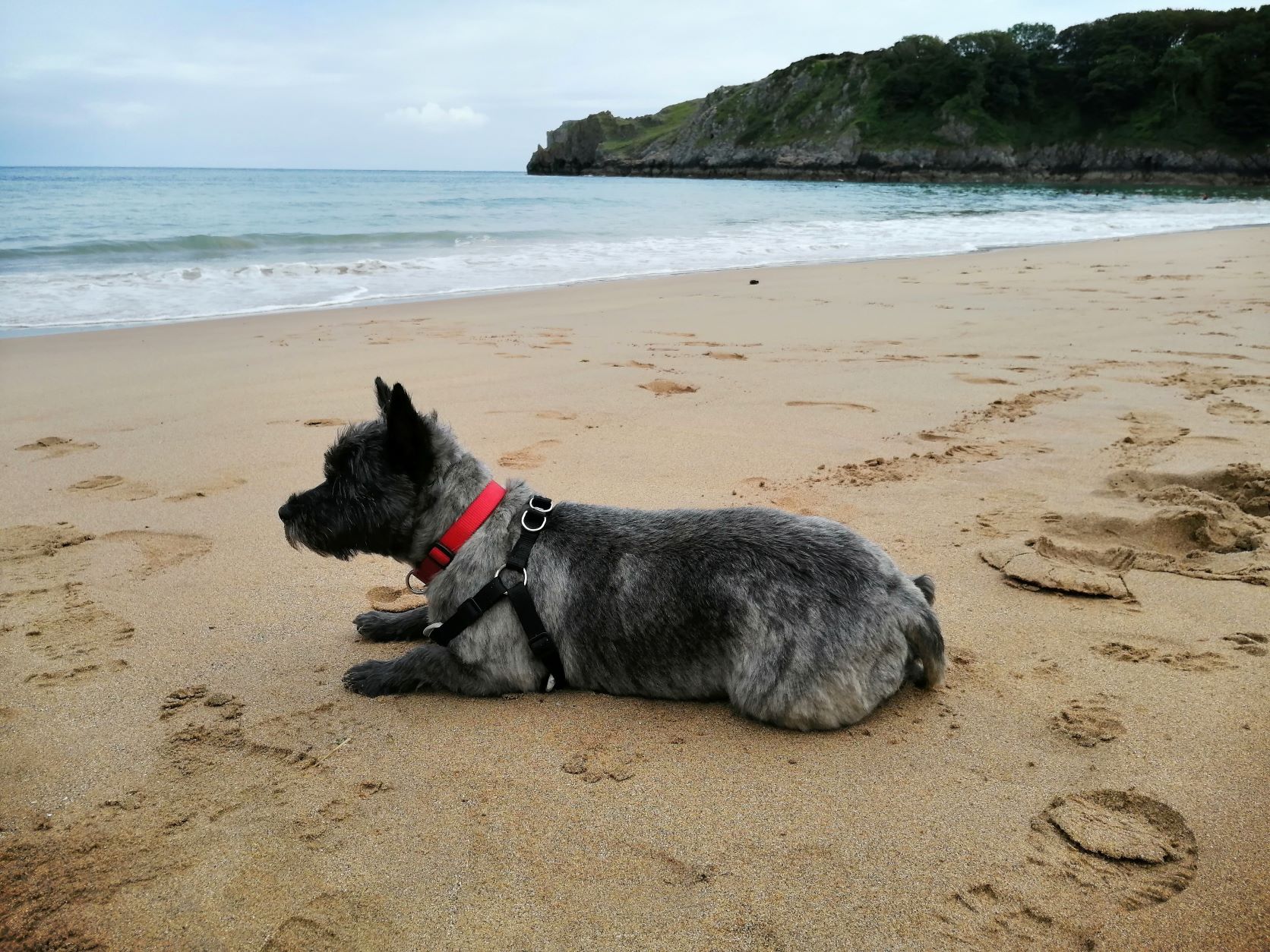 Pembrokeshire - Beautiful Beaches and Coastline - The Fido Trail