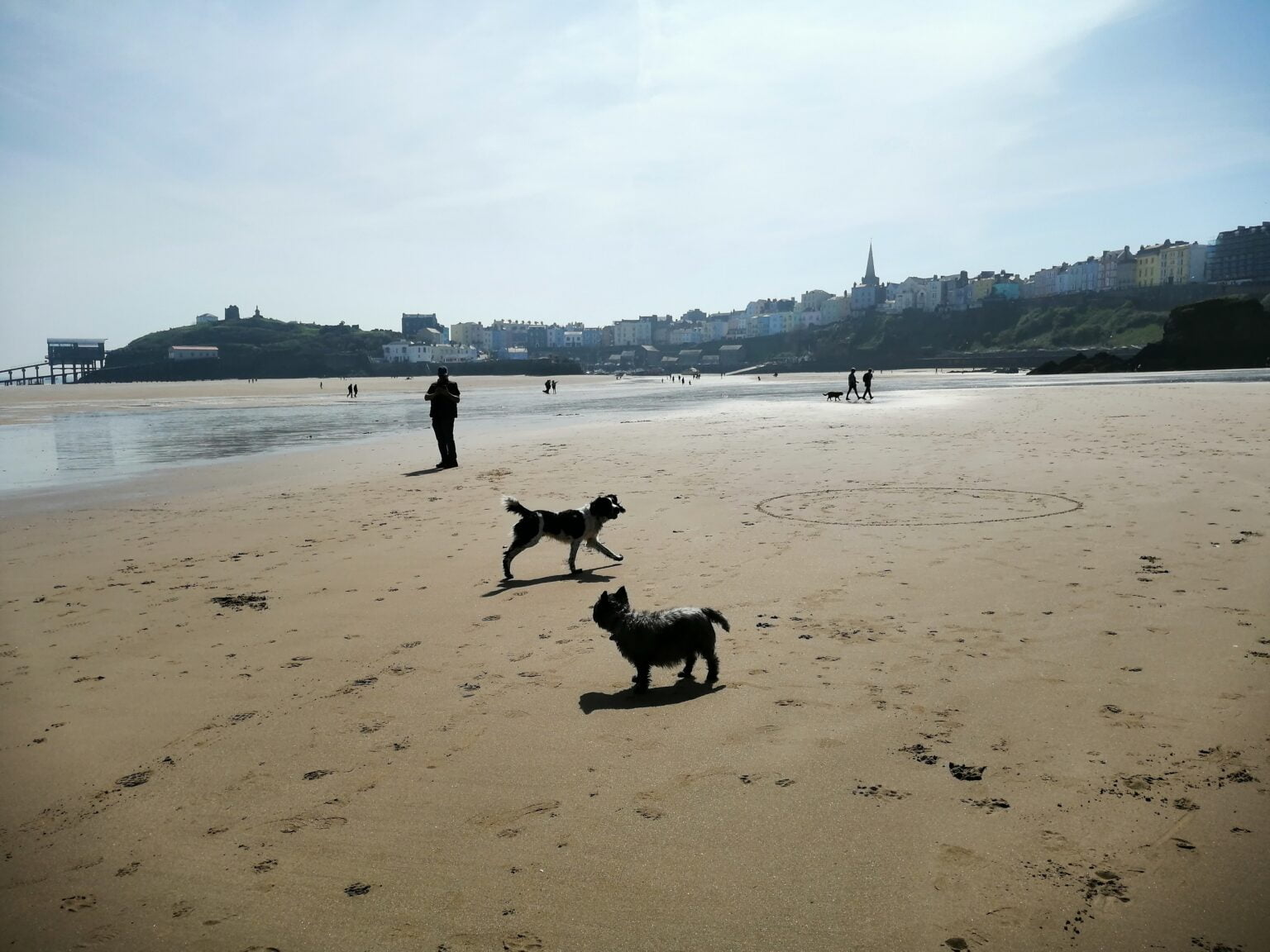 5 Great Reasons To Take Your Dogs On Holiday - The Fido Trail