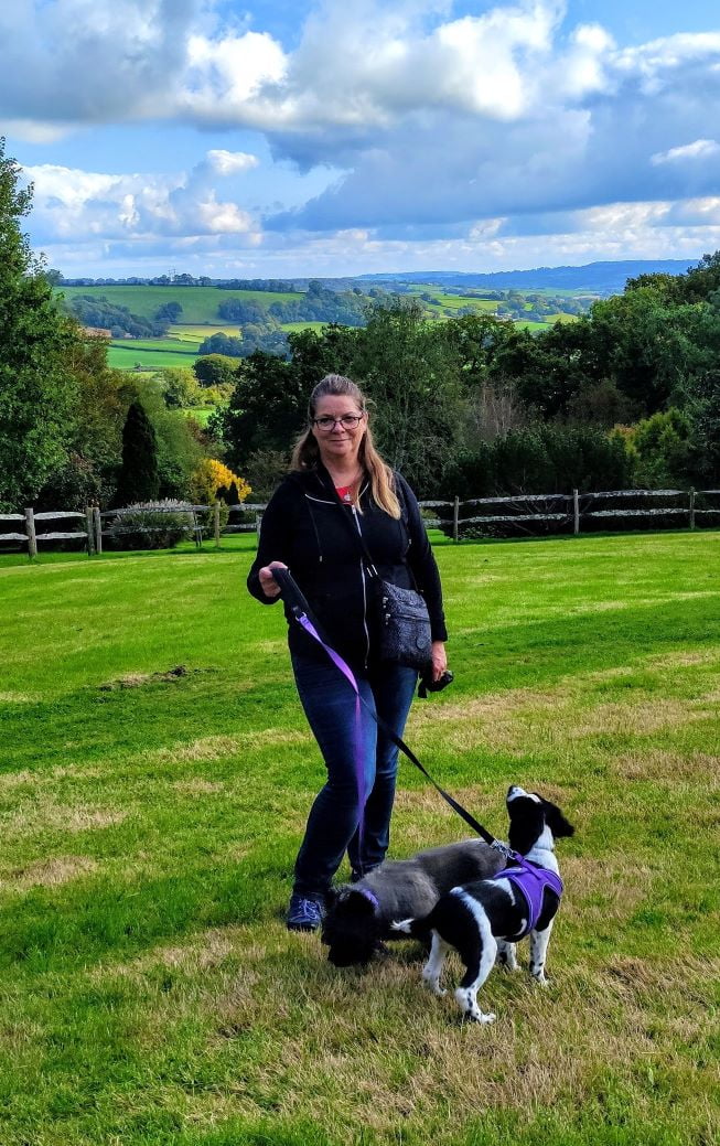 5 of the Best Dog-Friendly Attractions in East Devon The Fido Trail