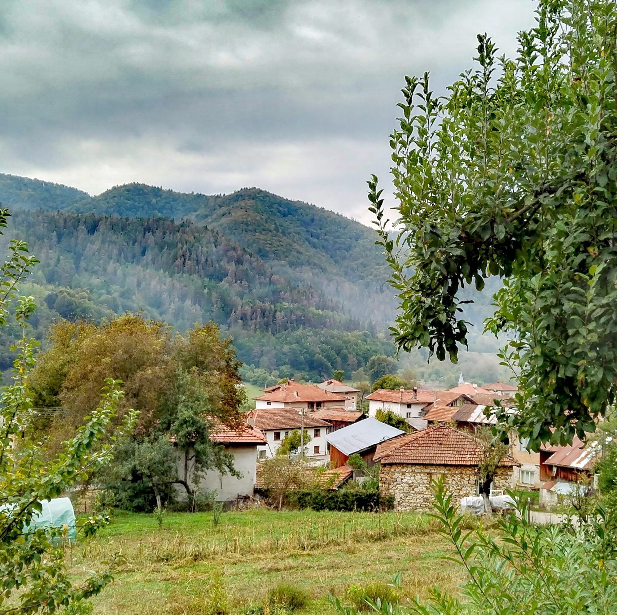 Rhodope Mountains: Your Go-To Guide for the Ultimate Dog-Friendly ...