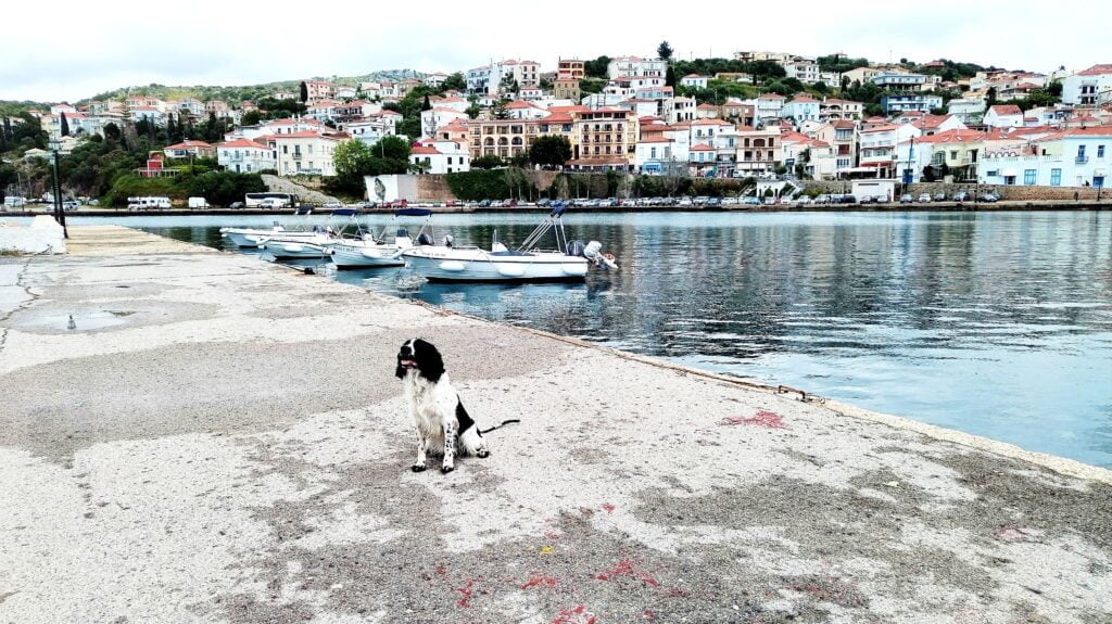 Dog-Friendly Greece - Travelling with Your Dog in Greece - The Fido Trail