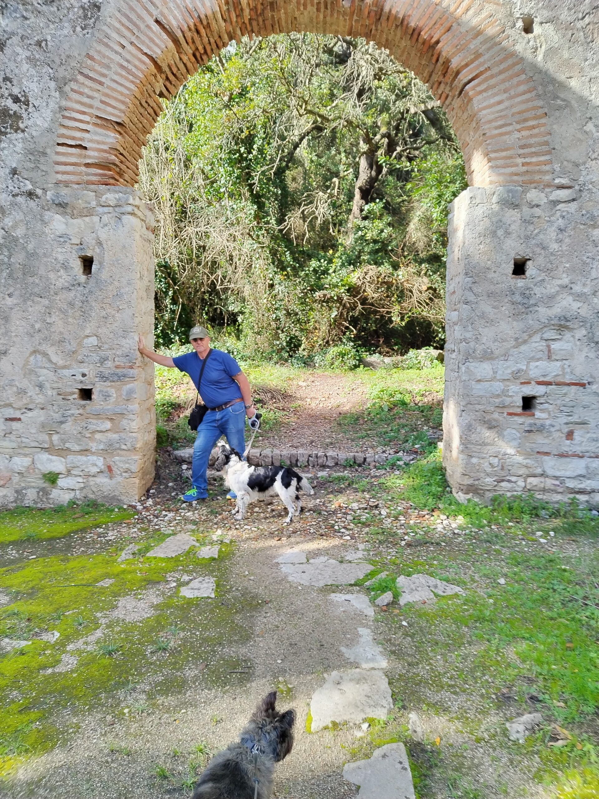 Dog-Friendly Albania: Travelling With Two Dogs In Albania - The Fido Trail