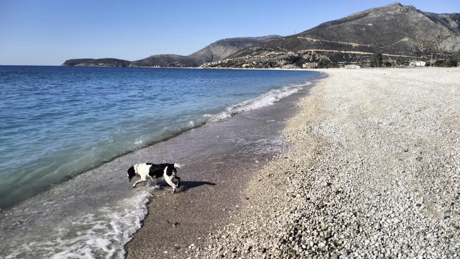 Dog-Friendly Albania: Travelling With Two Dogs In Albania - The Fido Trail