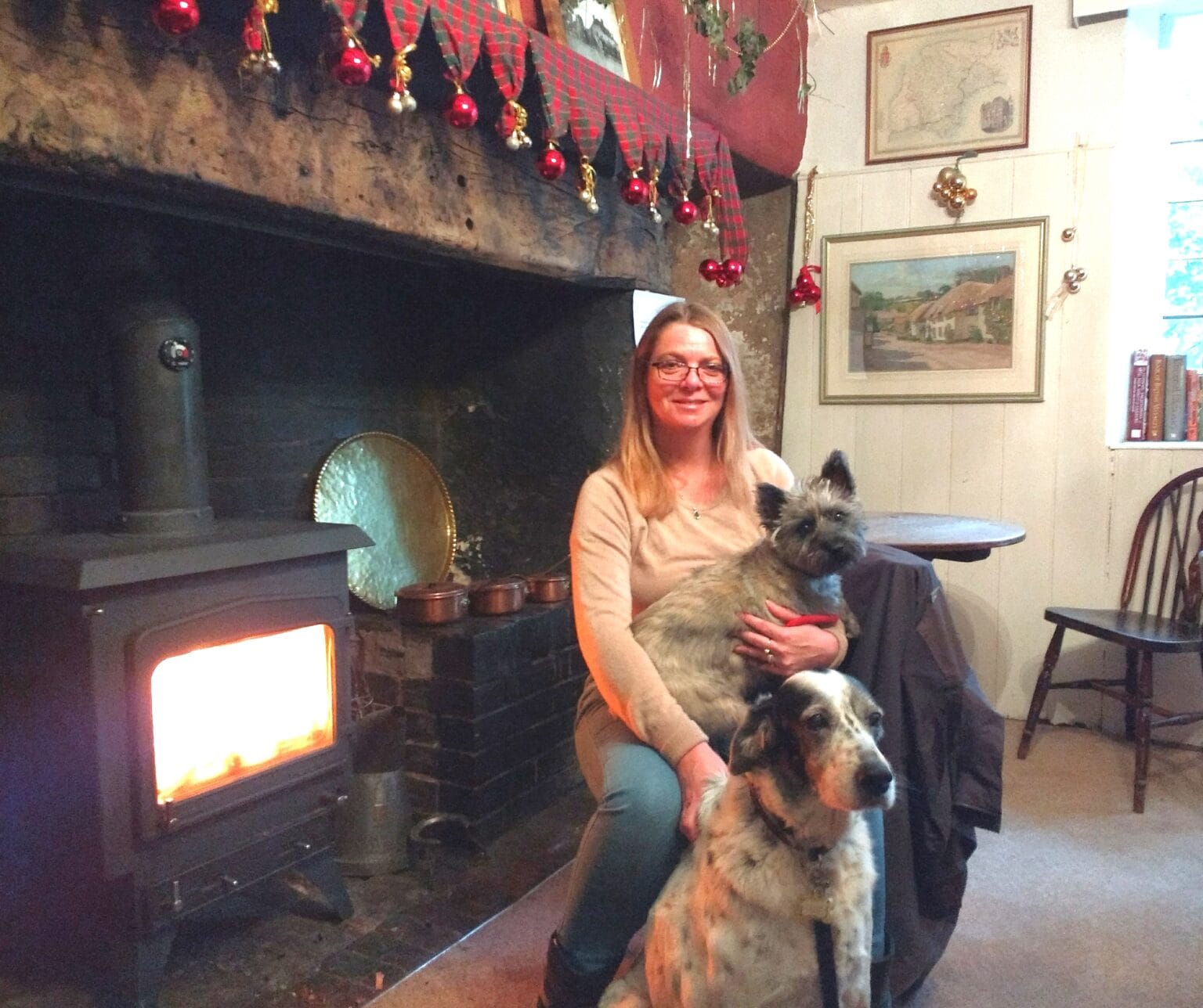 Dog-Friendly Exeter: 14 Christmas Activities Your Pup Will Love - The ...